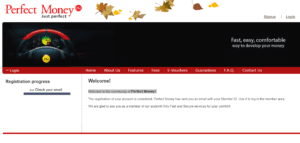 Perfect Money Sign Up Process | DollarPesa